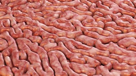 Colored Convolutions Stock Illustrations 19 Colored Convolutions