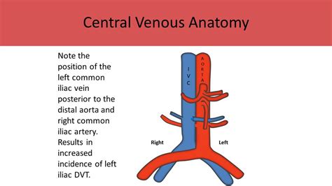 Ultrasound Registry Review Extremity Venous
