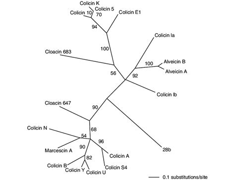 7 Maximum Likelihood Phylogram Of Pore Forming Killing Domains Of Download Scientific Diagram