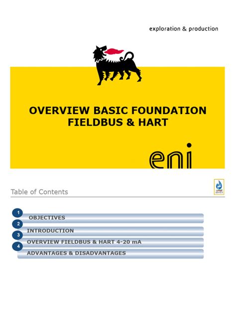 18 Overview Foundation Fieldbus And Hart Pdf