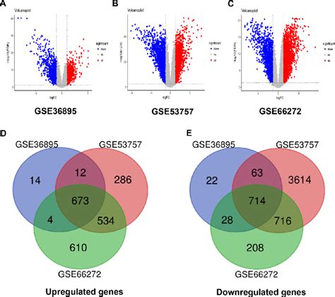 Differentially Expressed Genes And Common Differentially Expressed