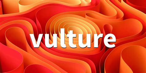 Vulture 211 Find Dead Code