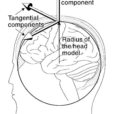 The EEG Is Sensitive To All The Three Components Of The Electric Download Scientific Diagram