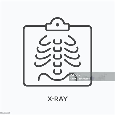 X 선 플랫 라인 아이콘 방사선 검사의 벡터 개요 그림 의료 검사를 위한 검정 얇은 선형 픽토그램 라인아트에 대한 스톡 벡터 아트 및 기타 이미지 Istock