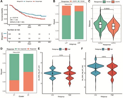 Single Cell Rna Combined With Bulk Rna Analysis To Explore Oxidative