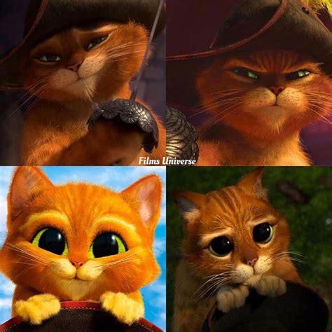 ჩექმებიანი კატა 🥰🐈 ფილმების სამყარო Films Universe