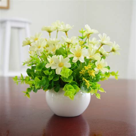 室内最好看的花排名 50种室内养花排行榜 室内养的花排名 第15页 大山谷图库