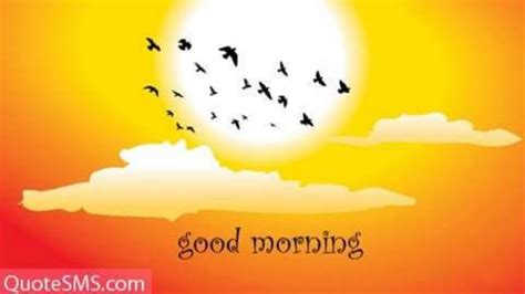 Enamel Structure And Development Pptx