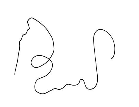 Free Squiggly Line Download Free Squiggly Line Png Images Free ClipArts On Clipart Library