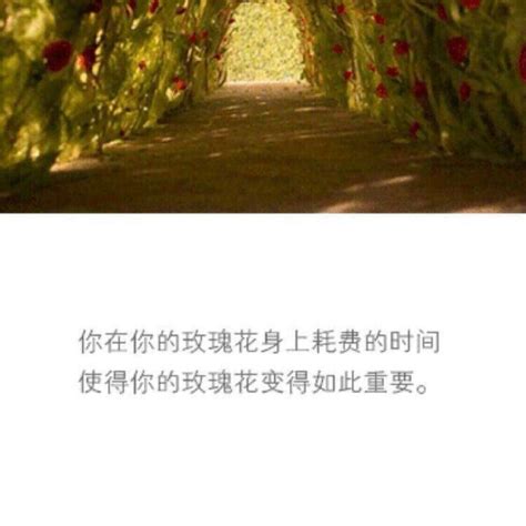 SNH48 段艺璇DDD 堆糖美图壁纸兴趣社区