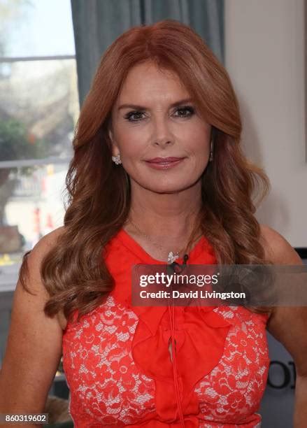 50 Photos And High Res Pictures Getty Images