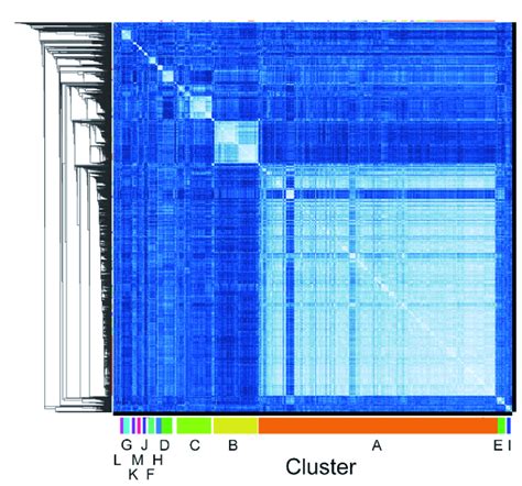 High Throughput Pairwise Clustering Analysis Of 3160 Round 5 Output Download Scientific Diagram