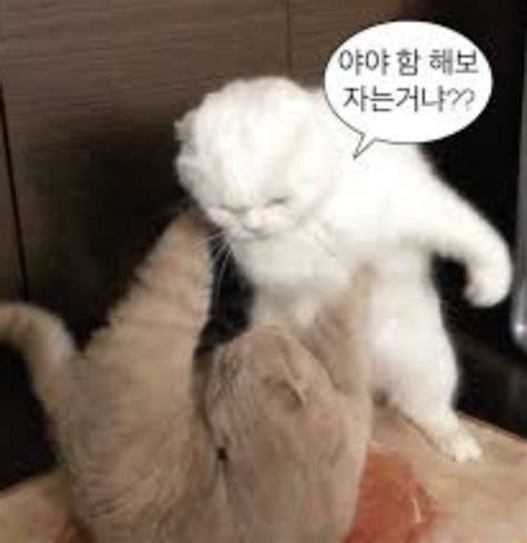 빅데이터 Java 개발자 교육 19일차 Oracle 4번째 시간 Junit Test Param Results 어노테이션 Hash 알고리즘