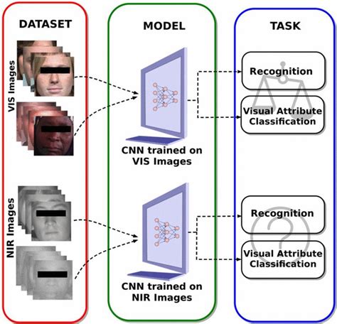 A Novel Approach For Bias Mitigation Of Gender Classification Algorithms Using Consistency