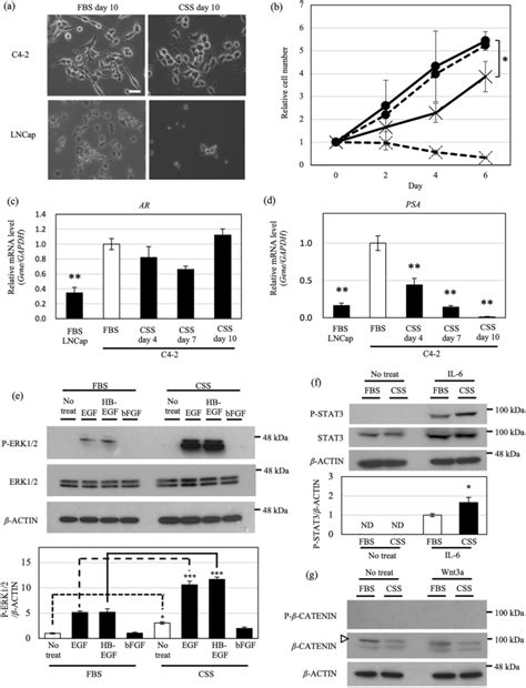 在去势抵抗性前列腺癌中通过 3 O 硫酸化硫酸乙酰肝素从 Ar 信号转导至 Egfr 信号转导机制 Scientific Reports X Mol