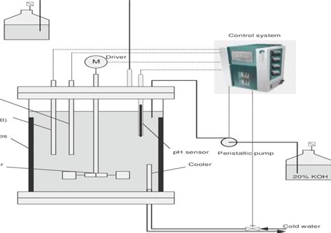 Bioreactor With Ph And Temperature Control For Free And Immobilized