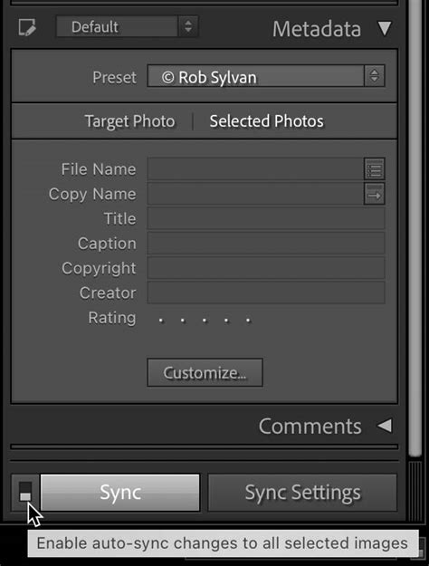 Customizing The Metadata Panel Editionsphotoart