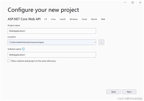 C Net Core Webapi简单创建及使用c Webapi Csdn博客