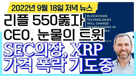 왜 리플 비트코인 이더리움 리플 Ceo 눈물의 트윗방송 Sec 법 무시 Xrp 가격 하락 혈안” Youtube