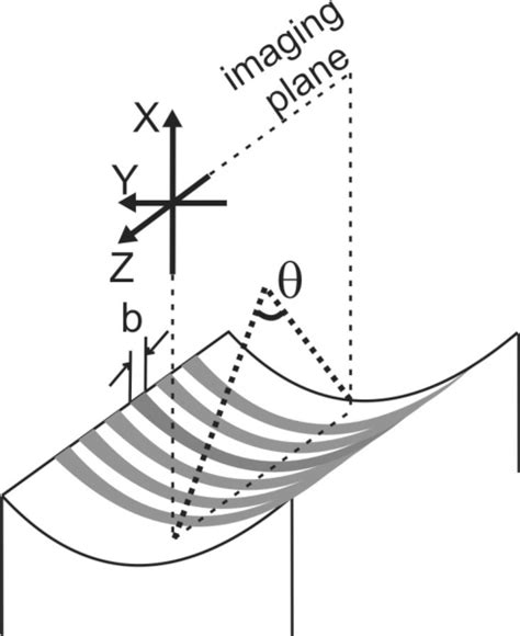 The Design Of The Array Transducer Used In The Simulations Download Scientific Diagram