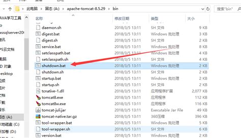Several Ports 8005 8080 8009 Required By Tomcat V85 Server At