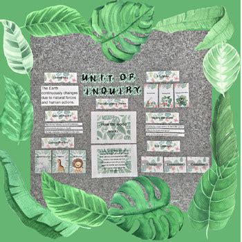 IB PYP Bulletin Board Display Kit Essential Elements Display Decoration Jungle