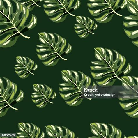 양식화 된 몬스 테라는 매끄러운 패턴을 남깁니다 잎 배경입니다 하와이 열대 우림 꽃 배경 이국적인 정글 식물 끝없는 벽지 V 고풍스런에 대한 스톡 벡터 아트 및 기타 이미지