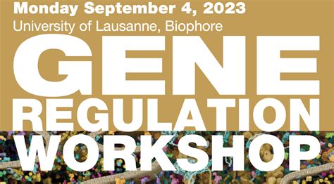 Gene Regulation Workshop Sep 4 2023 At The Biophore Amphitheater