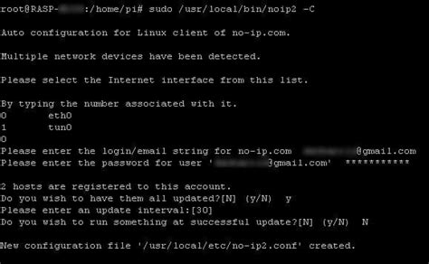cómo configurar noip con raspberry el taller del bit