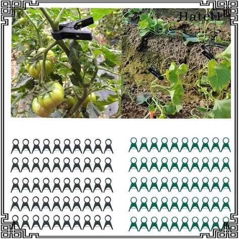 Hatel 50 ชิ้นคลิปรองรับพืชคลิปยึดคลิปมะเขือเทศสําหรับแตงกวา Peas