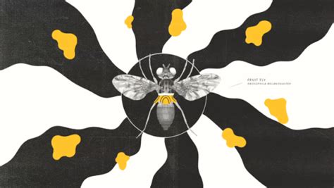 Space Sex Is Serious Business Behance