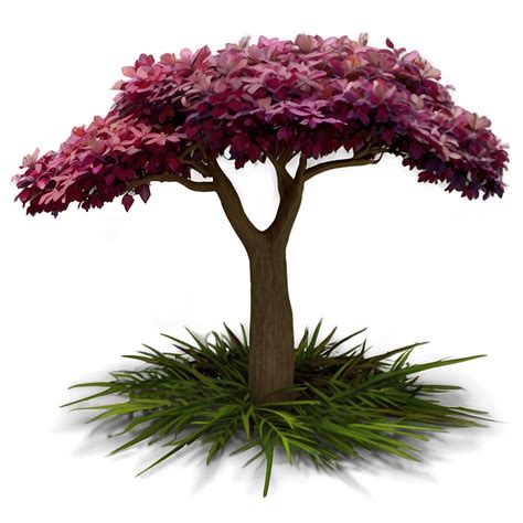 Download Small Tree Shade Png Ywi