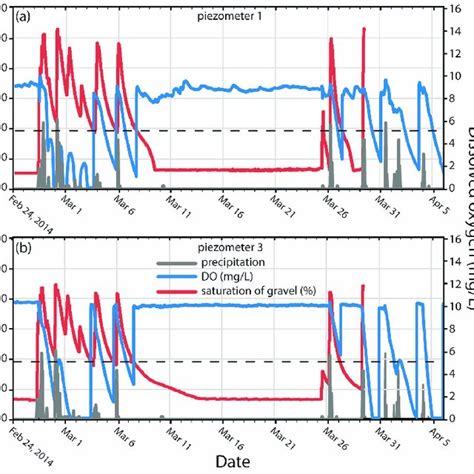 Hourly Time Series Of Precipitation Mm Water Levels Cm