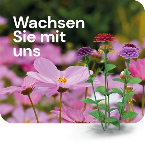 Wachsen Sie Mit Uns Steuber Gmbh And Co Kg