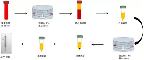 血液分离血清图片第7页大山谷图库