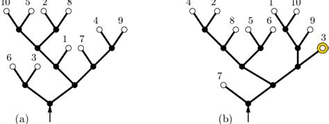 A A Labelled Binary Tree B A Marked Labelled Binary Tree