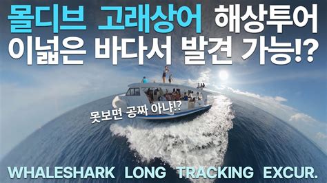 이 넓은 바다에서 고래상어 를 어떻게 찾습니까 Ep8 Youtube
