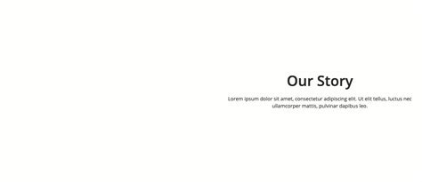 Create Dynamic Website With Css Animation In Magezon Page Builder Magezon