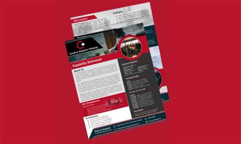 Professional And Persuasive Capability Statement For Your Success By Zaibulnisa Fiverr