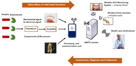 Bio Telemetry Based Diagnostic System Download Scientific Diagram