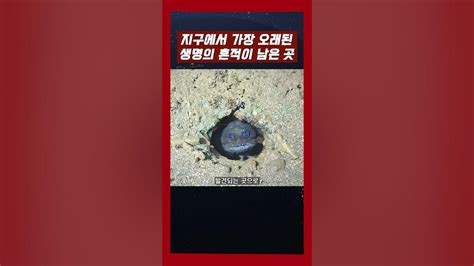 심해어 같이 생긴 미지의 물고기 Youtube