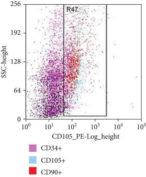 Example Dot Plot Graphs Showing Cell Morphology And Cell Distribution Download Scientific