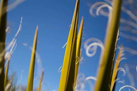 Gimp Tutorials Gimp Photo Editing Gimp Photo Manipulation