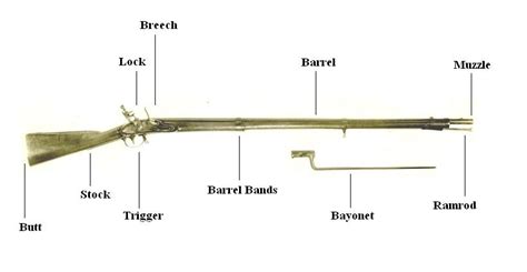 Flintlock Parts Diagram Wiring Diagram Pictures Flintlock Parts Diagram Wiring Diagram Pictures