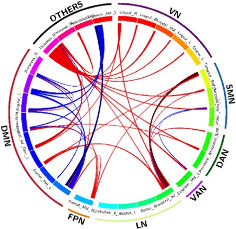 Spatial Connectogram Of Differences In Connectivity Between DS And Download Scientific Diagram