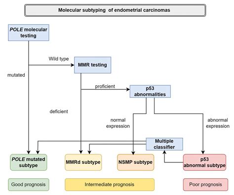 Integration Of The Molecular Classification Of Endometrial Carcinoma To Select Patients For