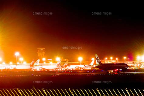 さくら山より成田国際空港夜景の写真素材 FYI07946981 ストックフォトの Qlean Market