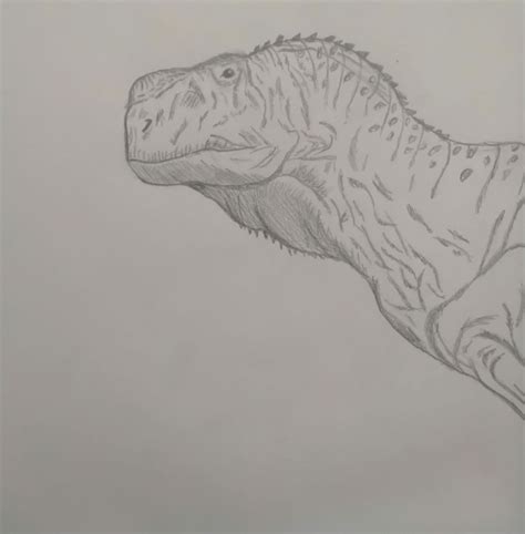 Pycno R Pathoftitans