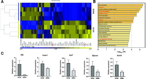 Transcriptome Heatmap Based On NGS Analyses A Transcriptome Analysis Download Scientific