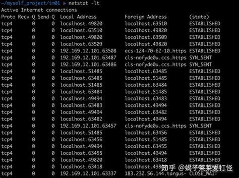 tcpdump详解 实战 知乎